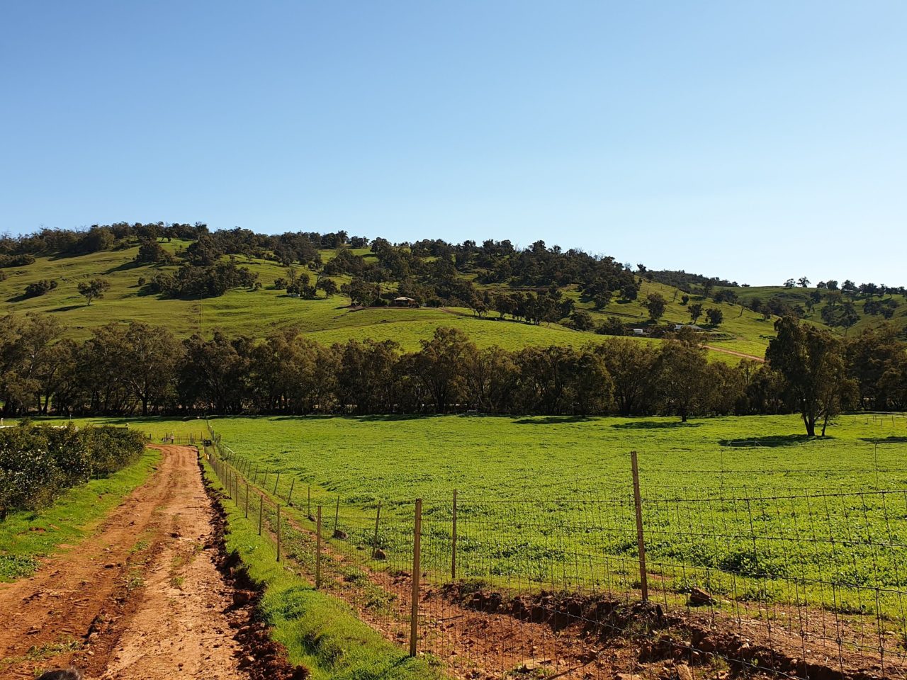 weekend-getaways-from-Perth-perth-hills - Anna Sherchand