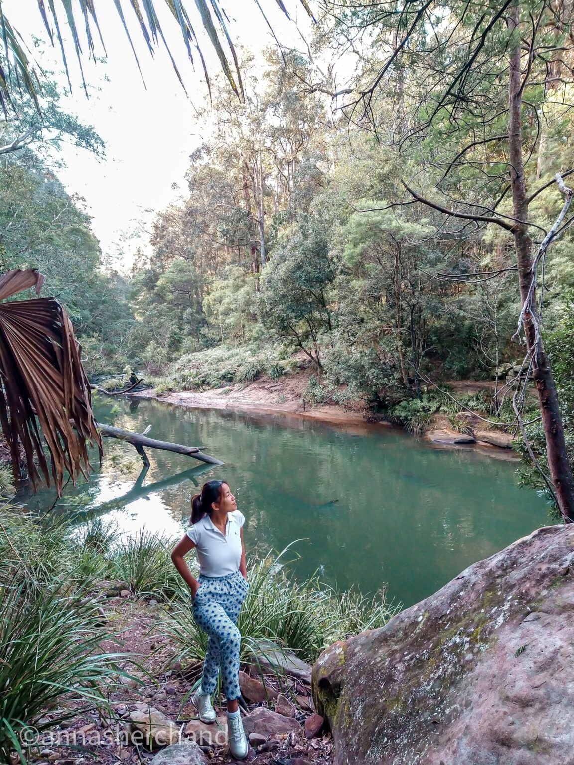 Best day trips from sydney by train - Anna Sherchand