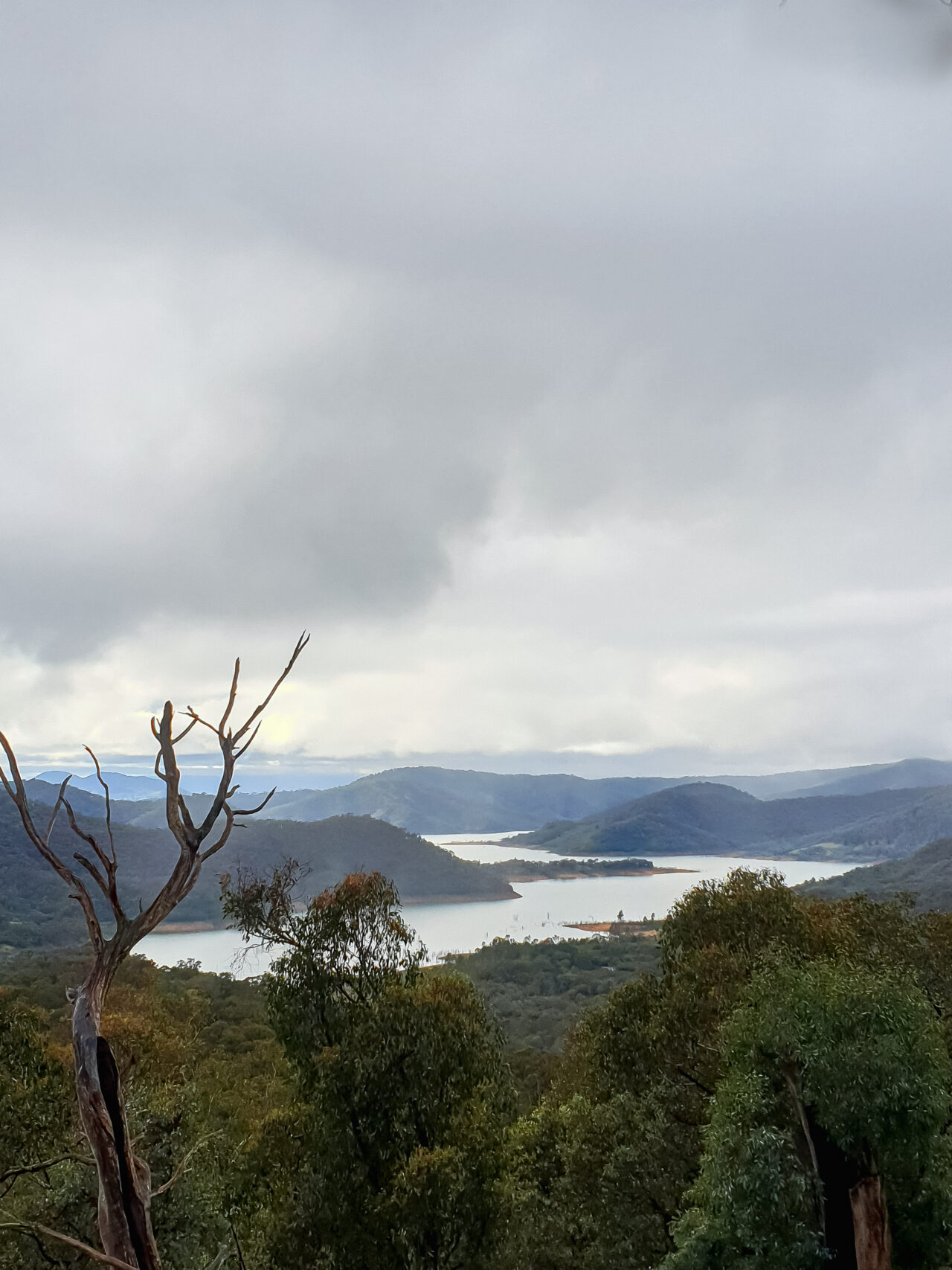 Things to do in Lake Eildon, Victoria - Anna Sherchand