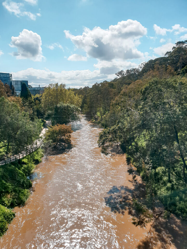 Yarra River walk - Anna Sherchand