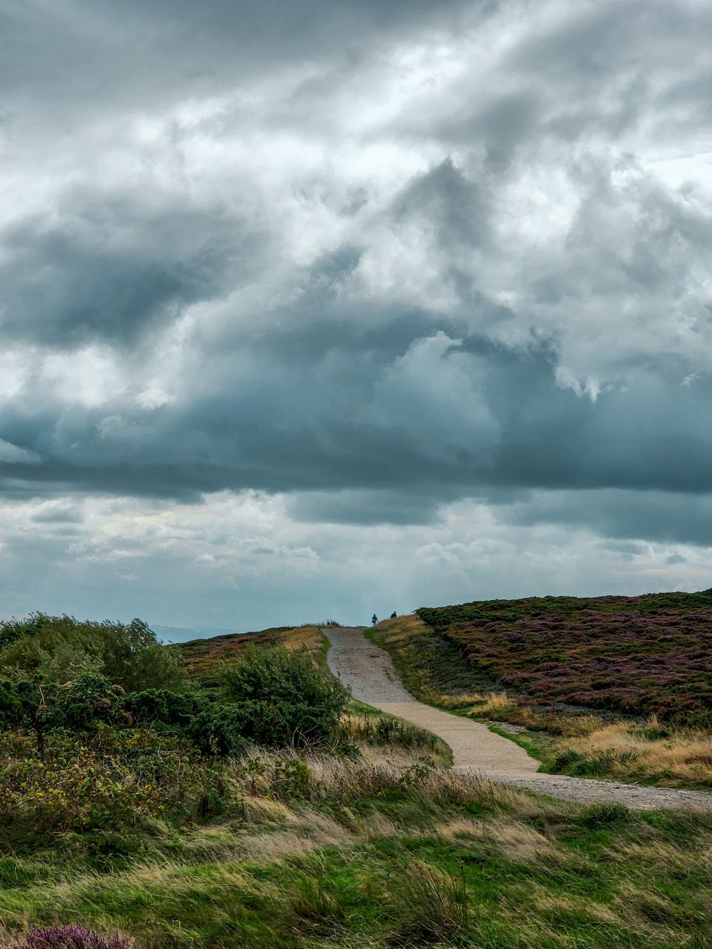 How to go from Dublin to Howth - Anna Sherchand