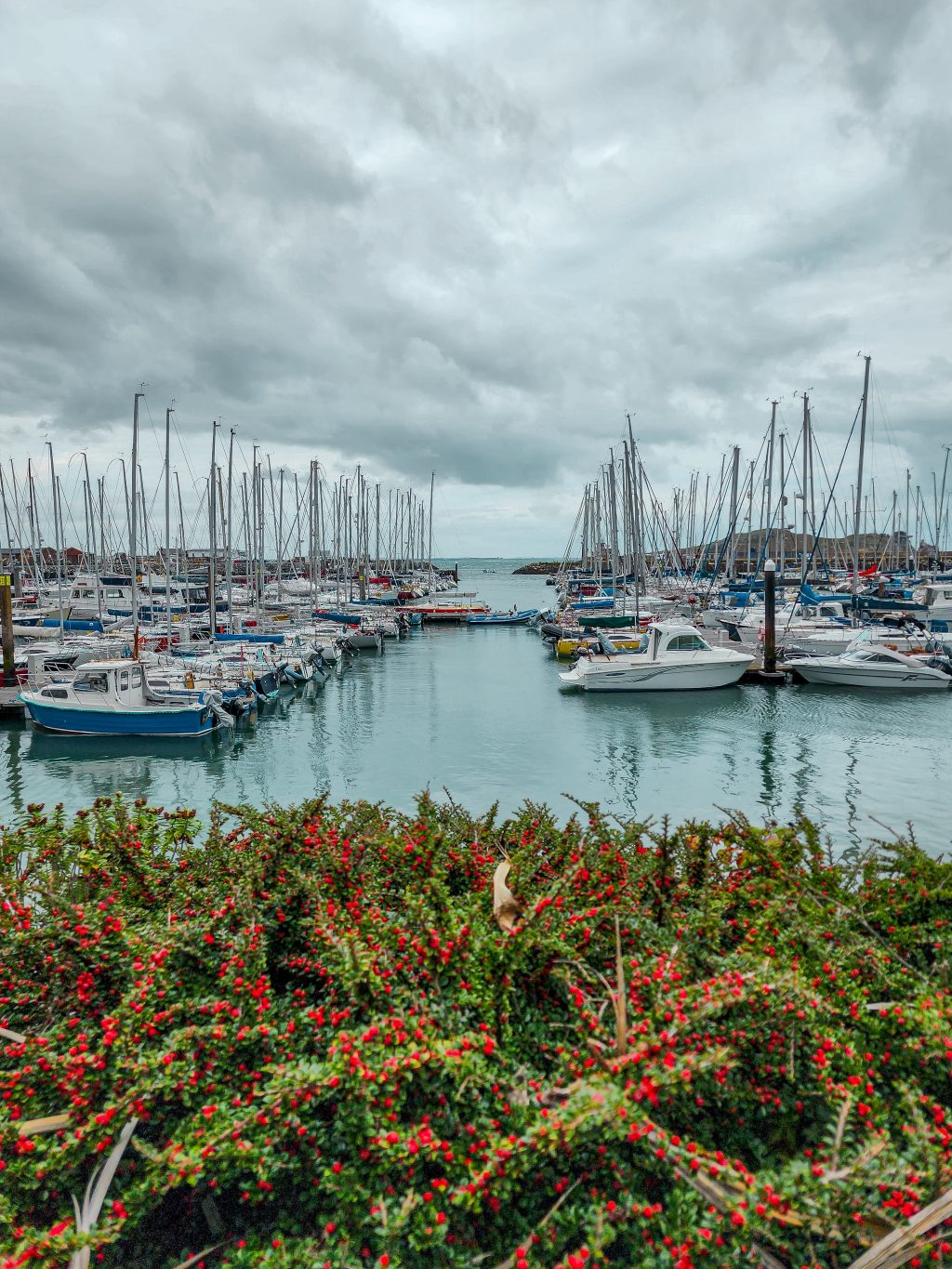 How to go from Dublin to Howth - Anna Sherchand