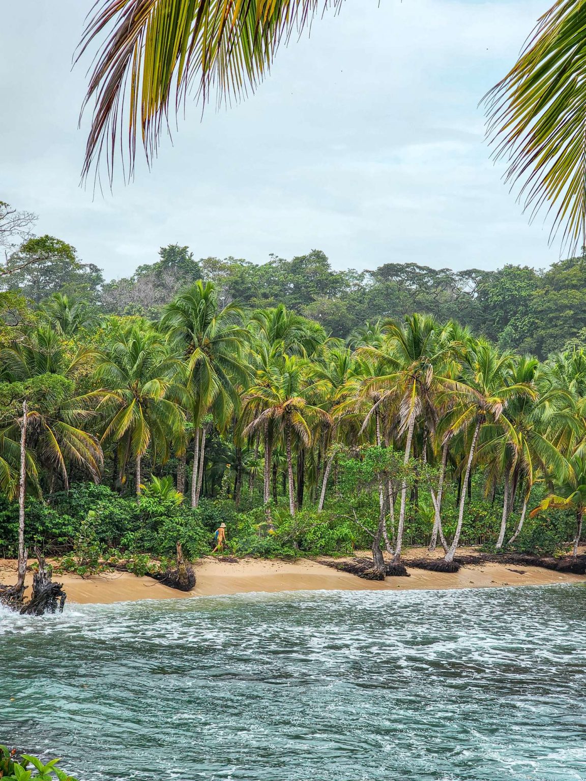 5 Days in Panama Travel Guide - Anna Sherchand