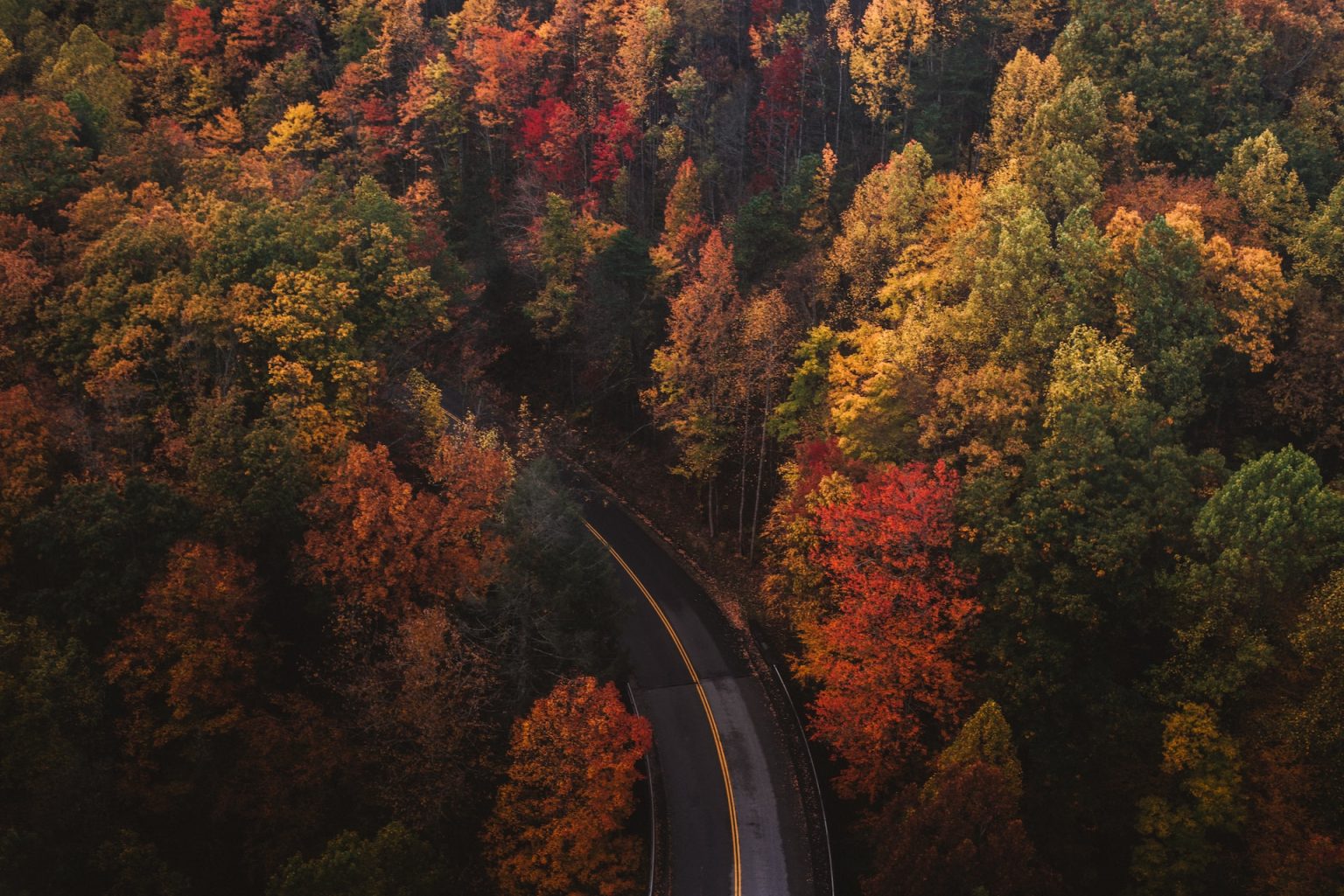 Best places to see autumn leaves in Adelaide - Anna Sherchand