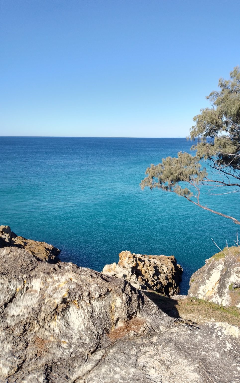 Experience Paradise: Day Trip to Stradbroke Island - Anna Sherchand