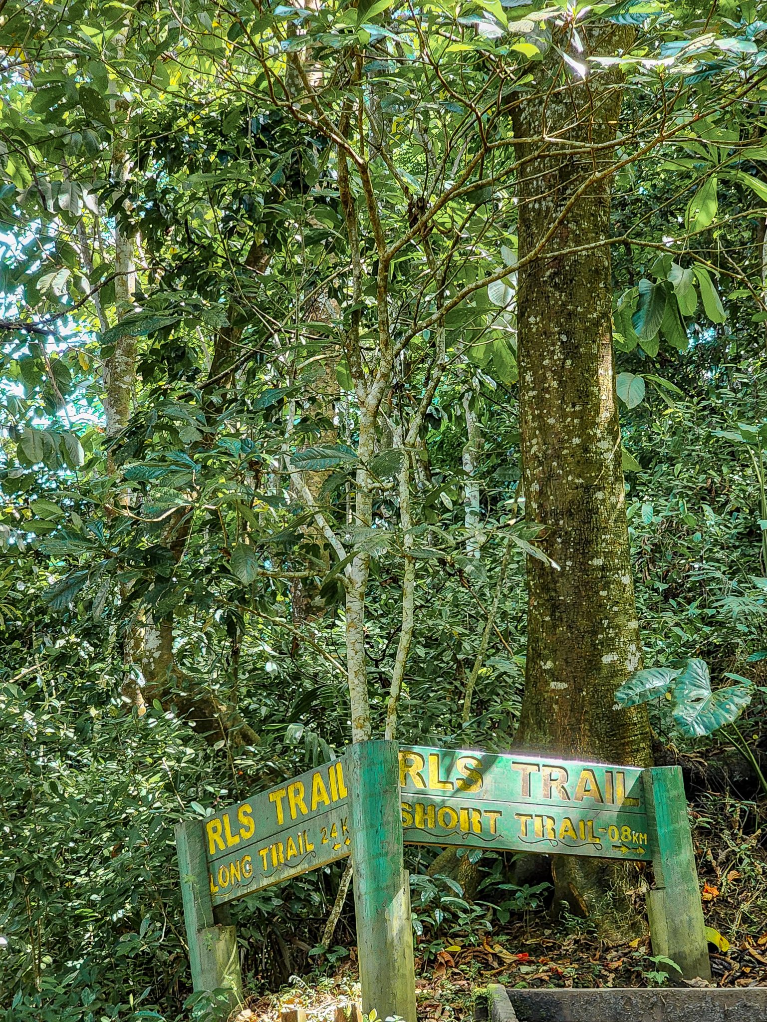 5 days in Apia Samoa itinerary - Anna Sherchand