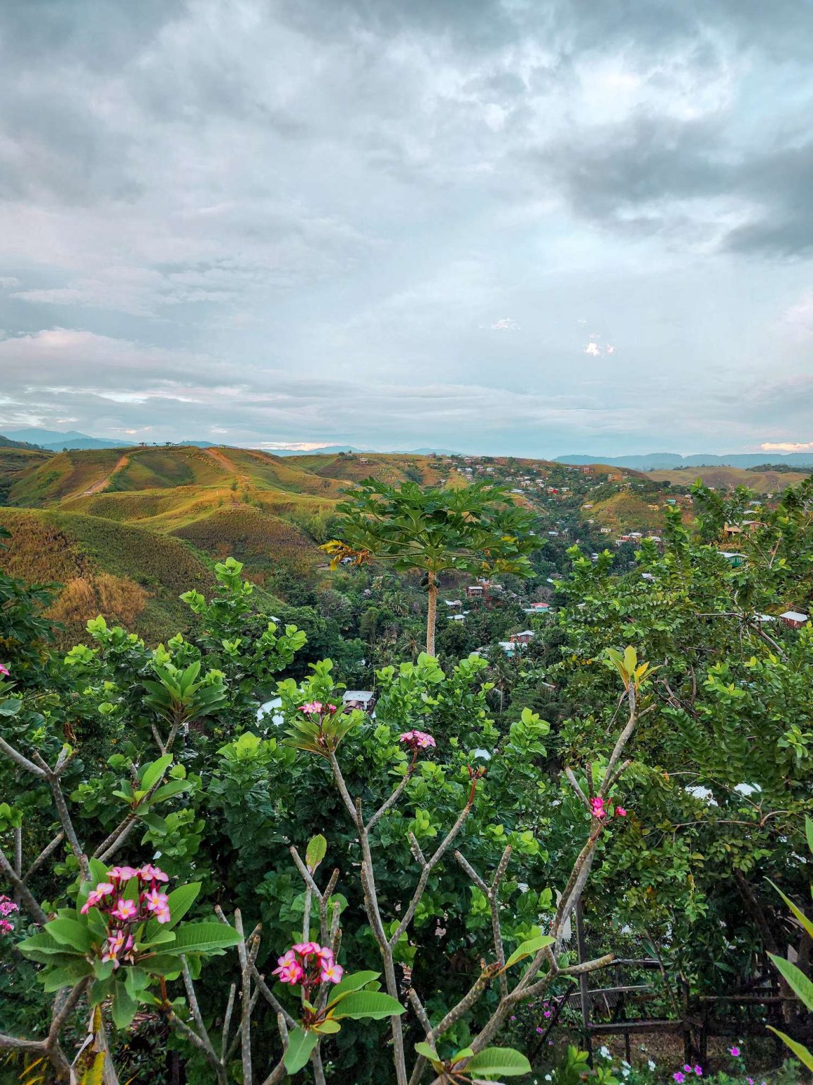 3 days in Honiara itinerary Solomon Islands - Anna Sherchand