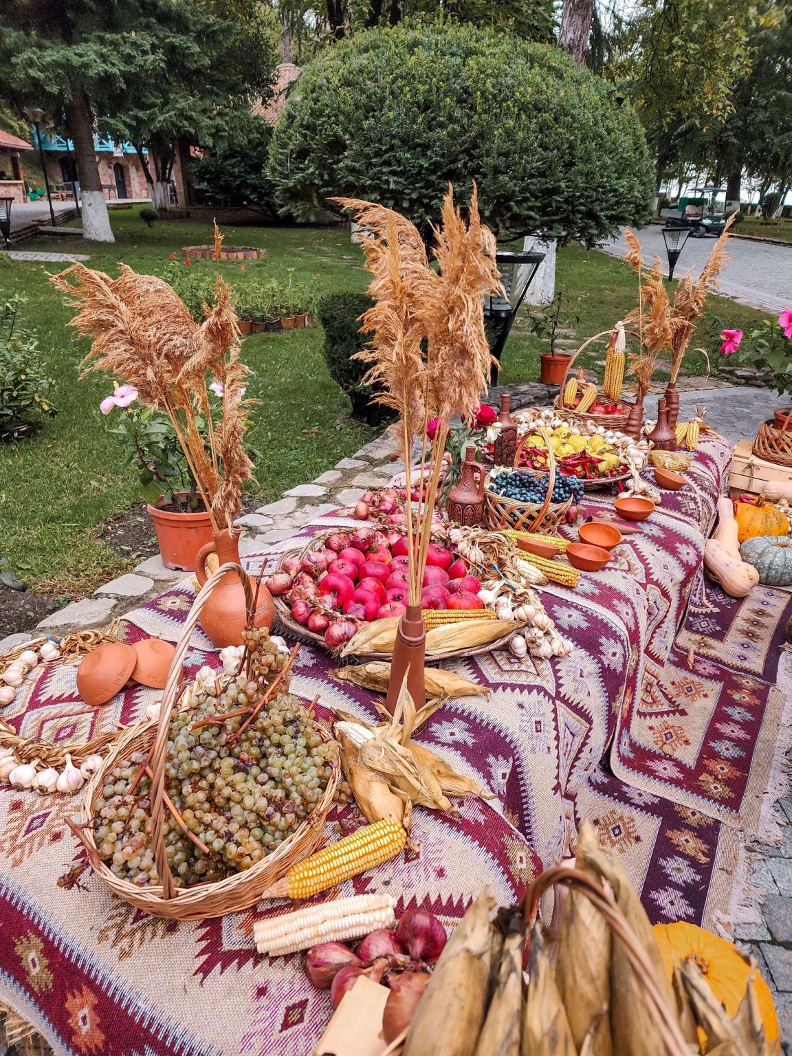 7 days itinerary in Georgia - Anna Sherchand