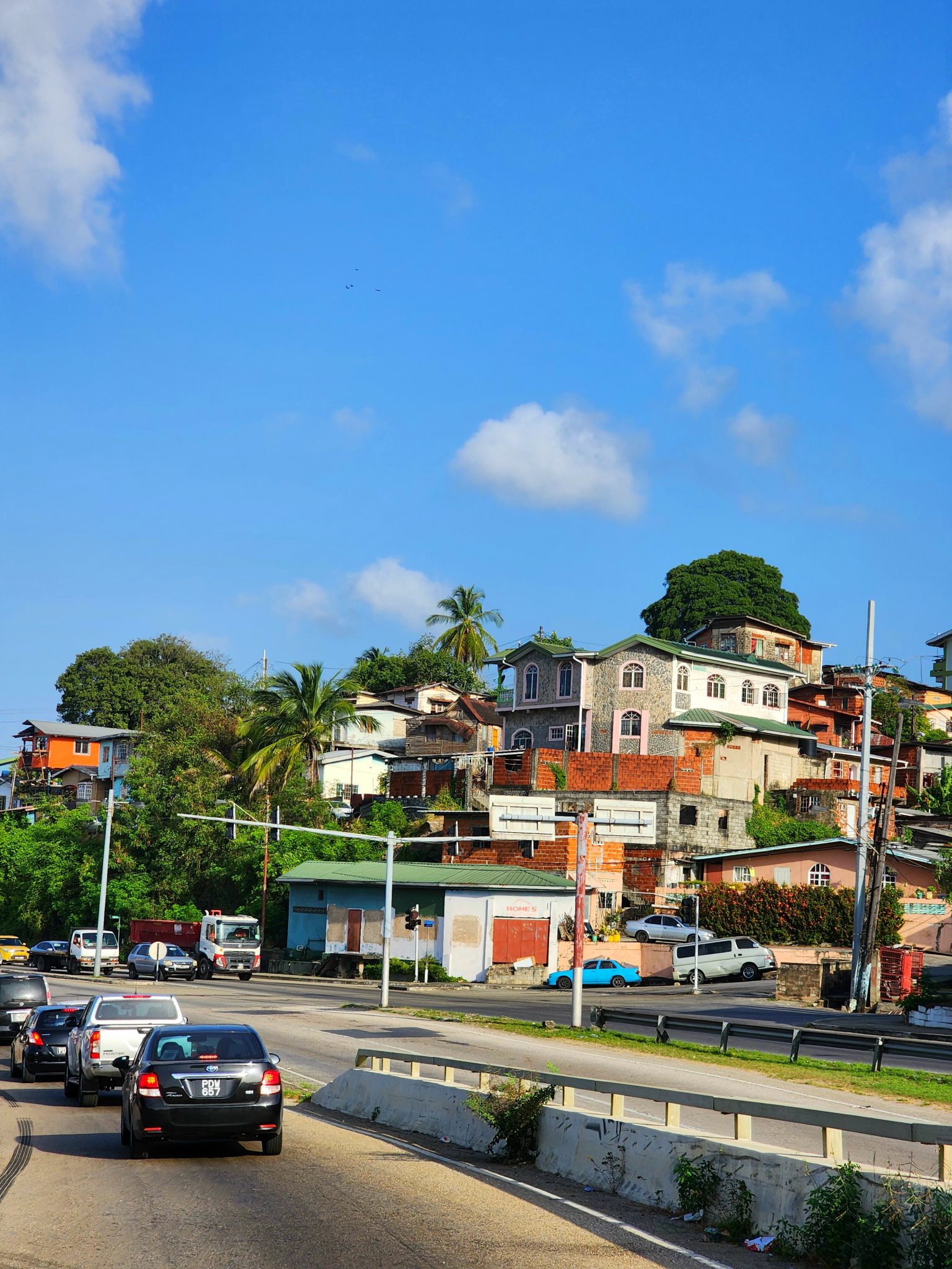 Trinidad and Tobago Itinerary and Travel Tips - Anna Sherchand