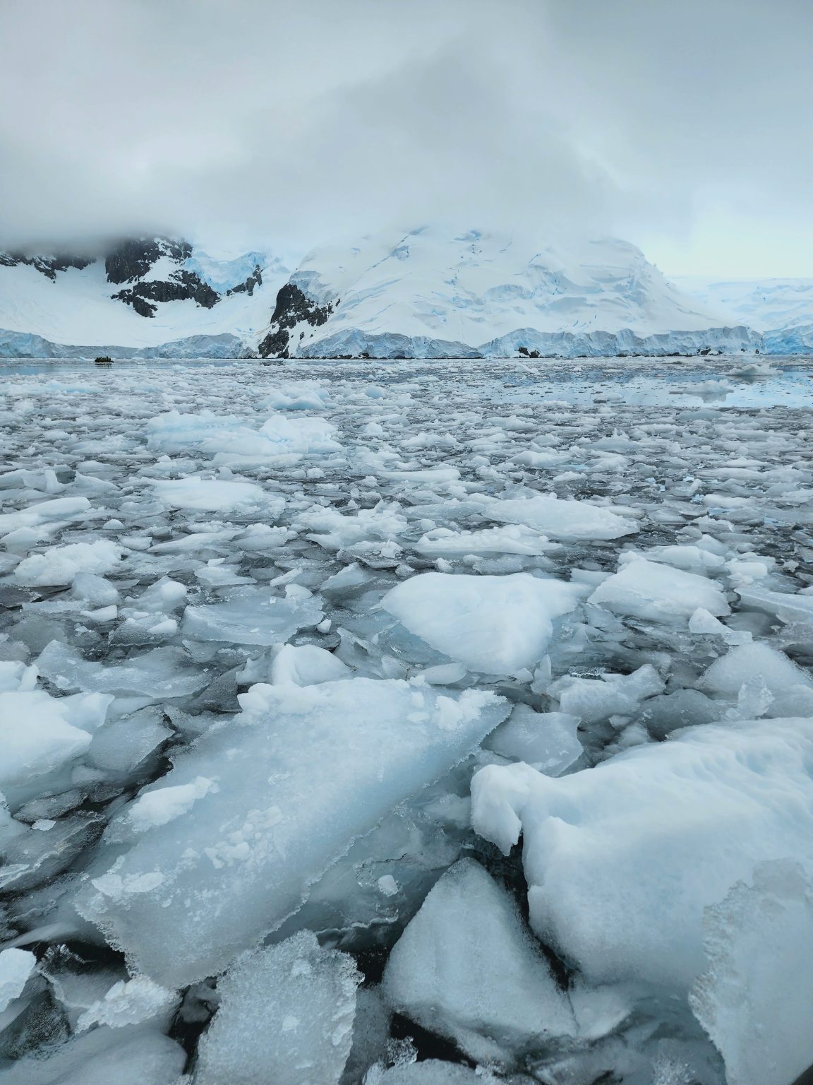 How to plan a trip to Antarctica - Anna Sherchand